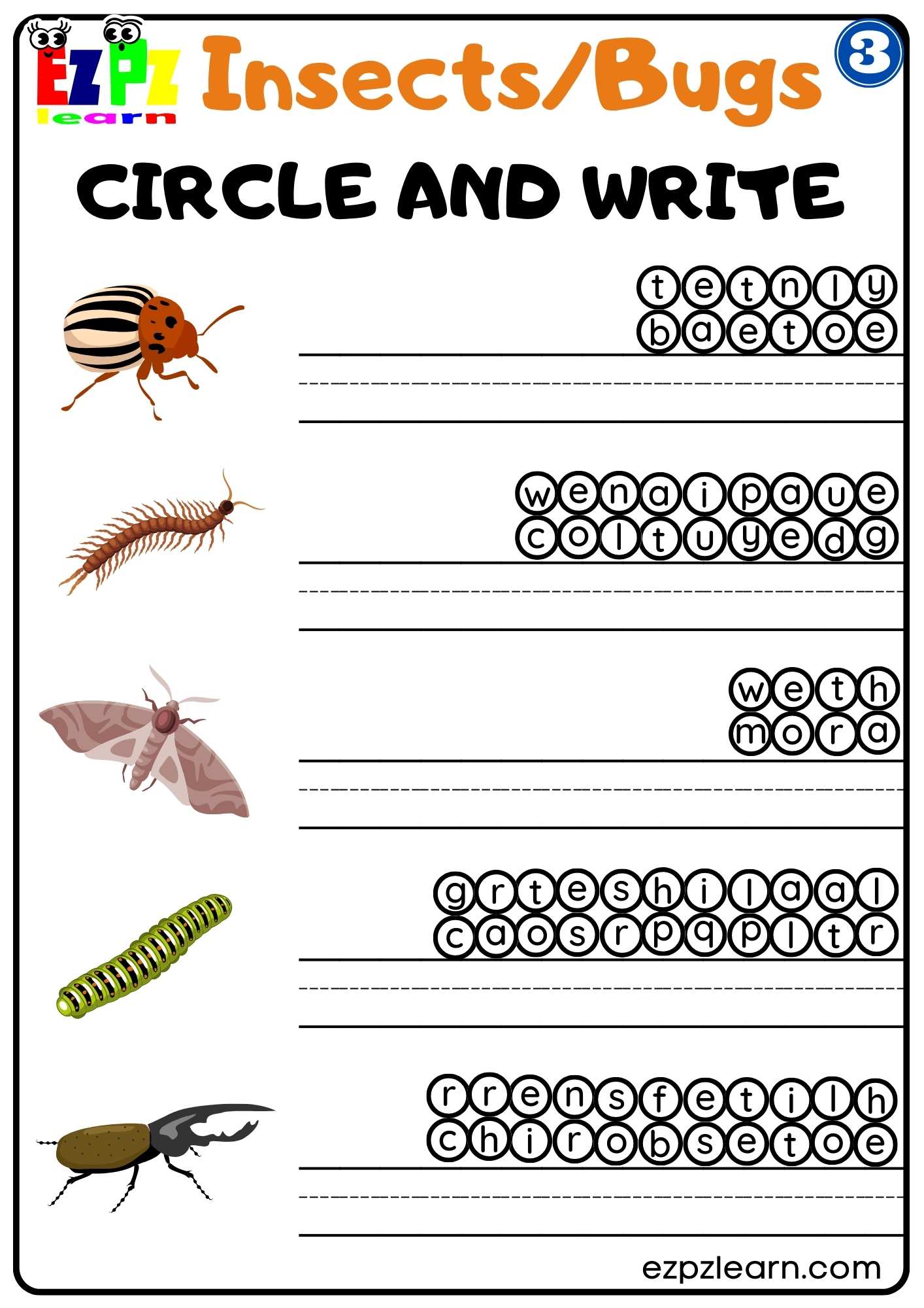 Insects Bugs - Ezpzlearn.com